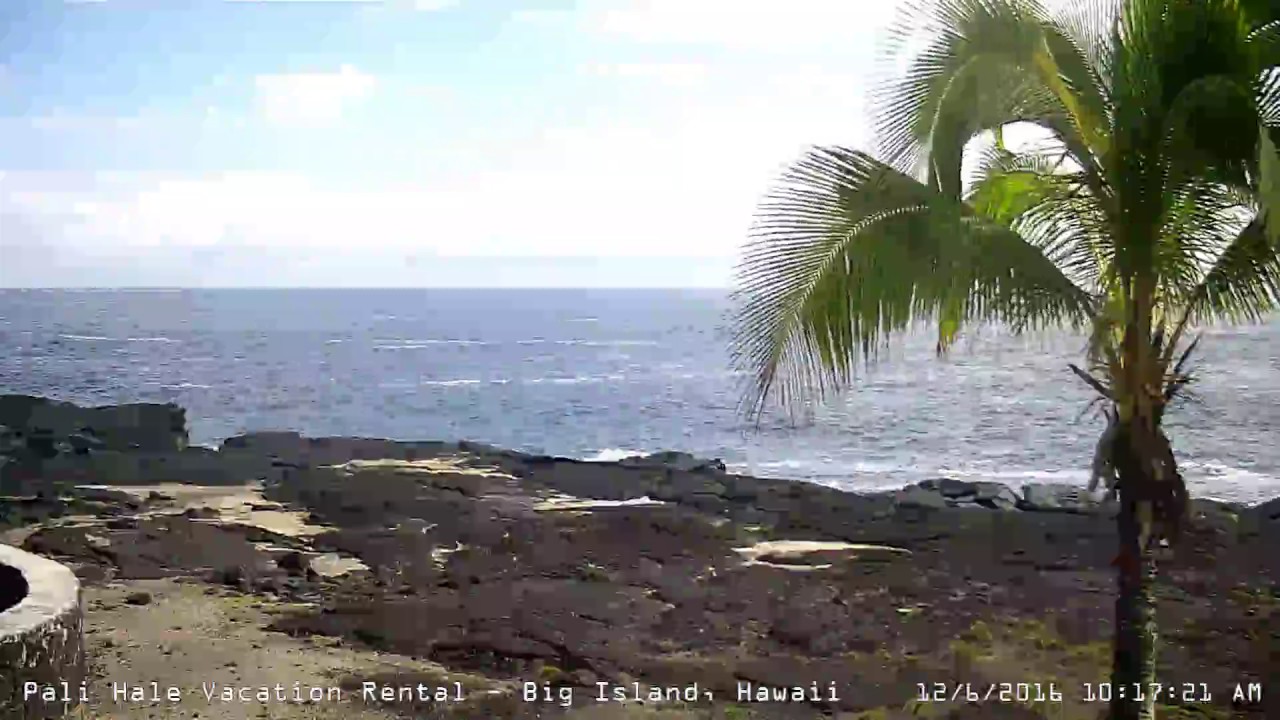 Pali Hale Live Stream from Puna Coast of Kea'au, Big Island Hawaii ...