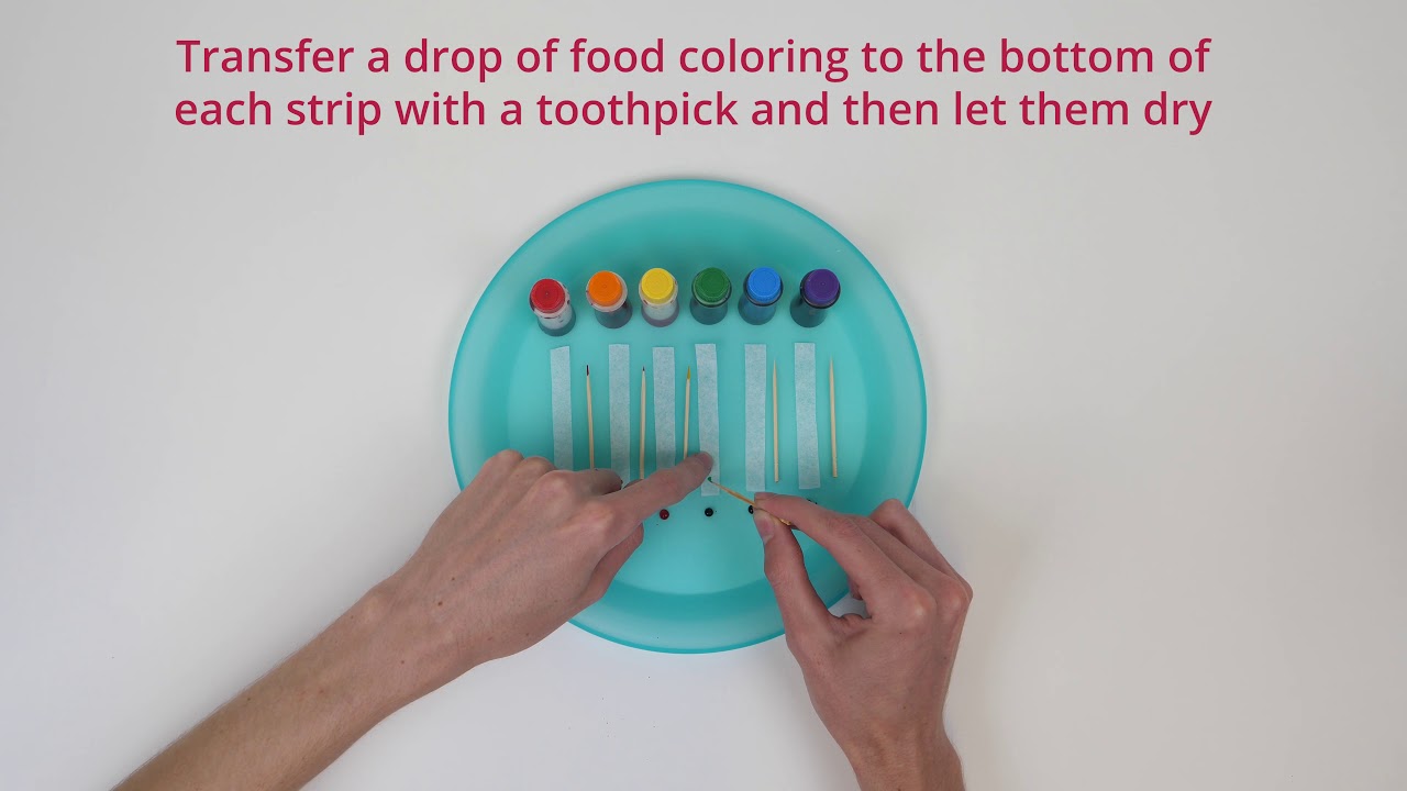 DNA Forensics and Color Pigments - YouTube