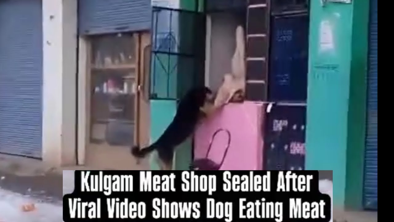 Shop Sealed in Kulgam's Gudder After Video Goes Viral kashmiri viral ...