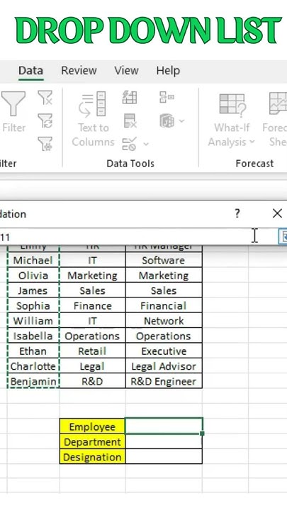 "Master the Art of Drop-Down Lists in Excel –Simplify Your Spreadsheets ...