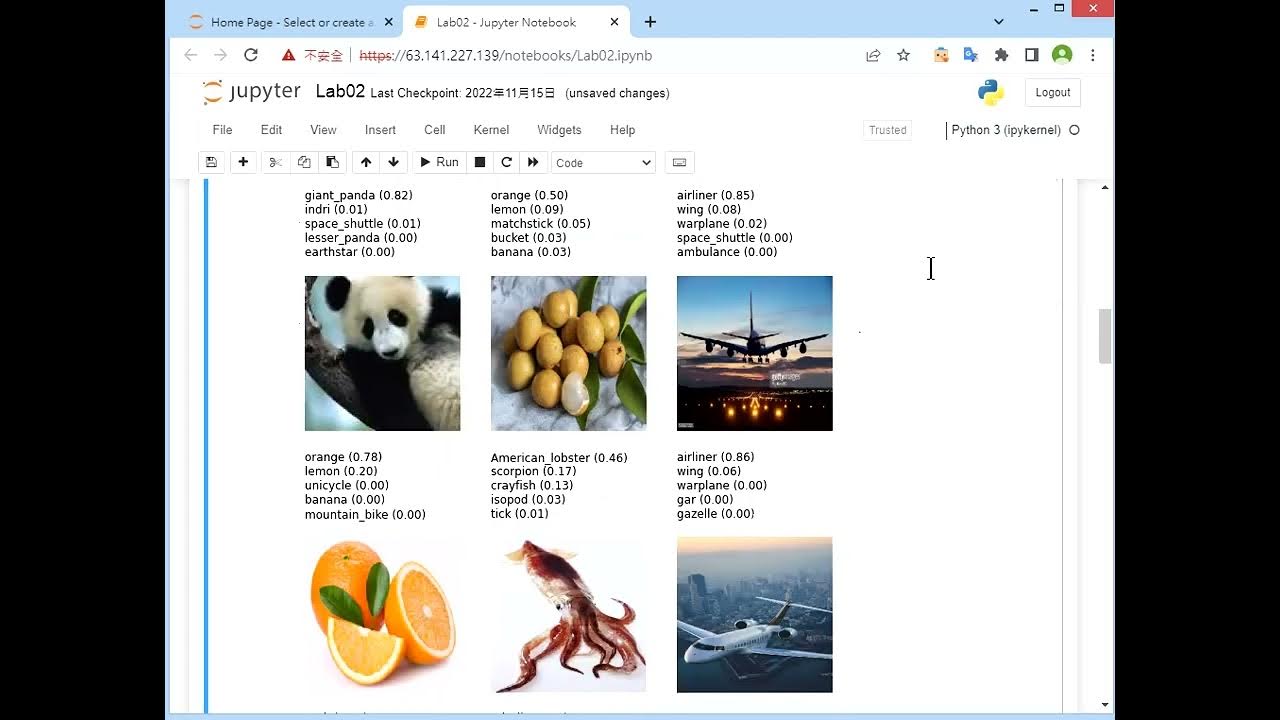 Image Classification Using Pre Trained Models (InceptionV3 and VGG16) - YouTube