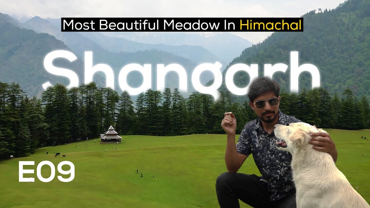 The most beautiful meadow of Himachal | Shangarh, Sainj Valley - YouTube
