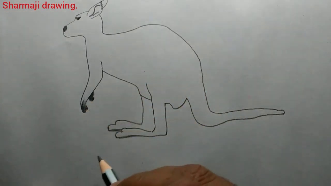 How to draw a kangaroo, with pencil. - YouTube