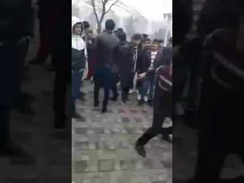 Y. Mustafa avar reqsi berde