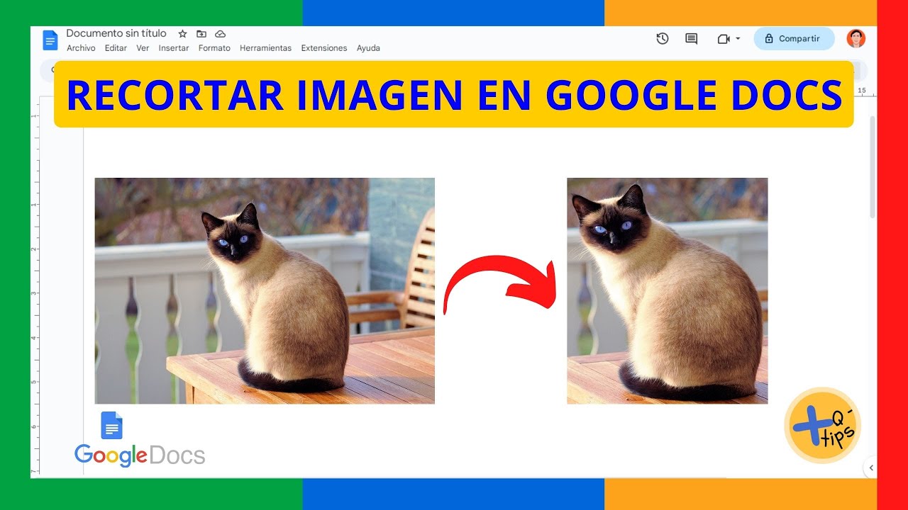 Cómo Recortar Te Mostramos Cómo Recortar Una Foto En PC O Mac