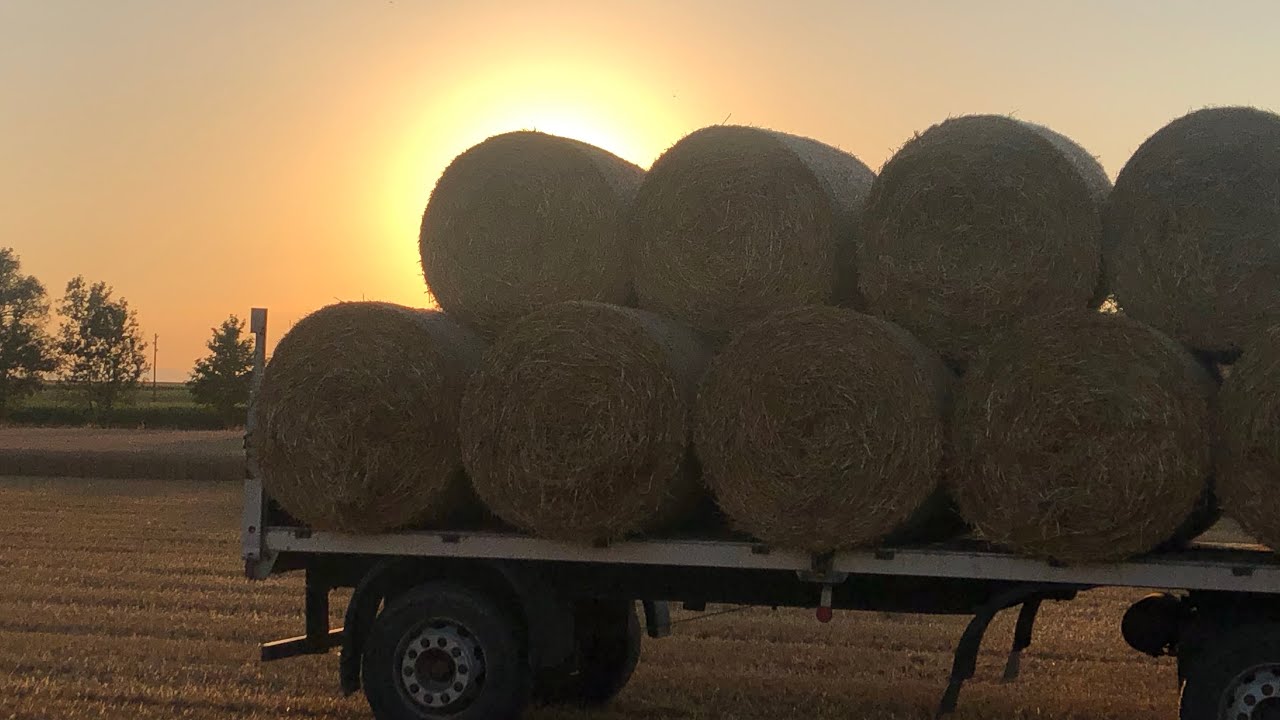 DAS STROH......😅 - YouTube