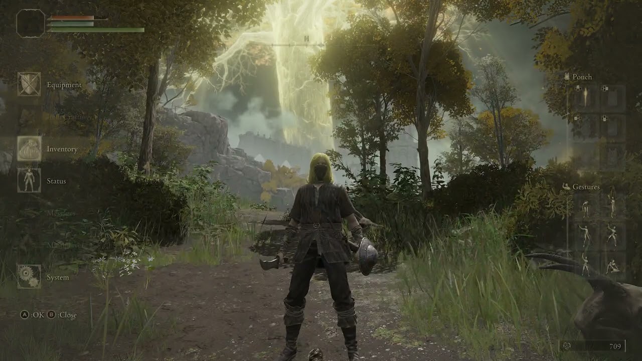 Elden Ring Get Tree and Beast Surcoat New Armor Look Good - YouTube