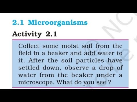 Microorganisms: Class.8 Science Chap.2:Activity-2.1 & 2.2 (Line by line ...