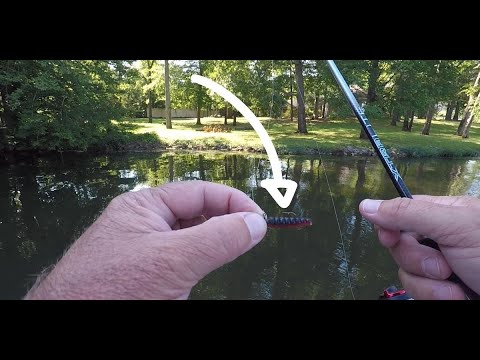 Simple Setup Fishing Bluegill Beds - Easy and Fun!! - YouTube