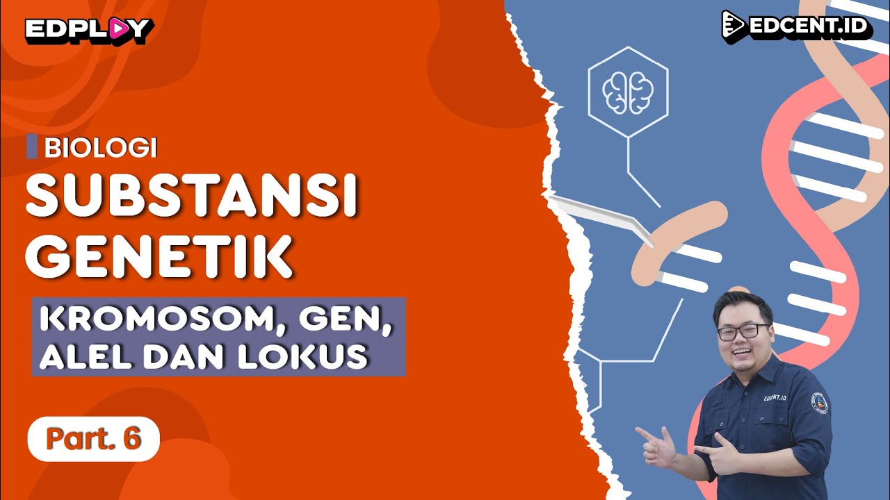 Materi Biologi: Substansi Genetik | Bagian Umum Kromosom, Gen, Alel ...