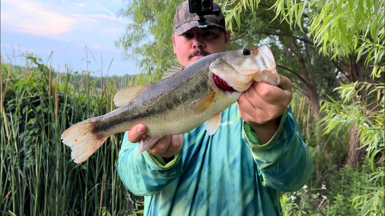 Summer Fishing is BRUTAL - YouTube