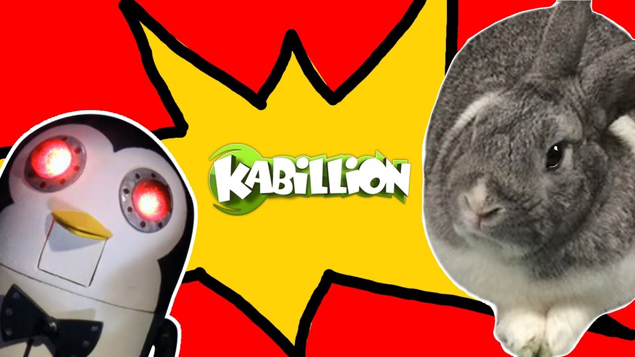 Rabbit vs Penguin - YouTube