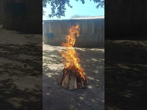 #ordu akkuş mangal ve zurna keyfi