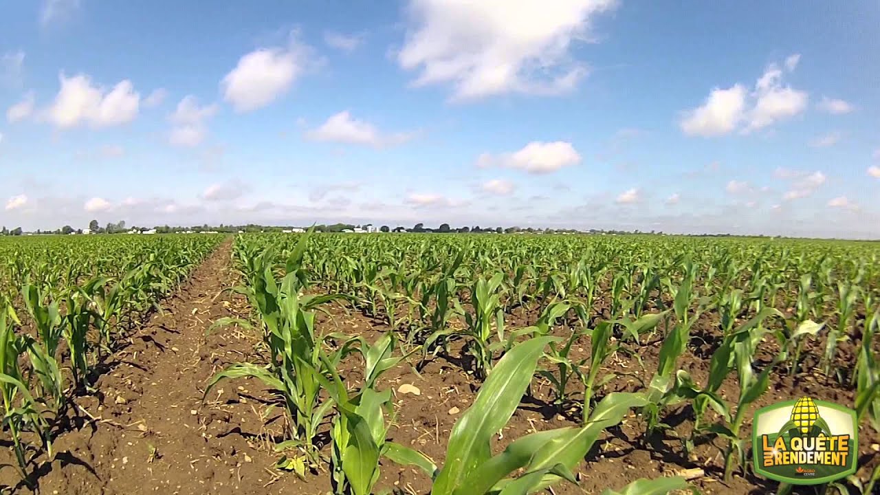 Agrocentre Fertibec - Quête du rendement Ferme Mathieu Dubuc inc. et ...