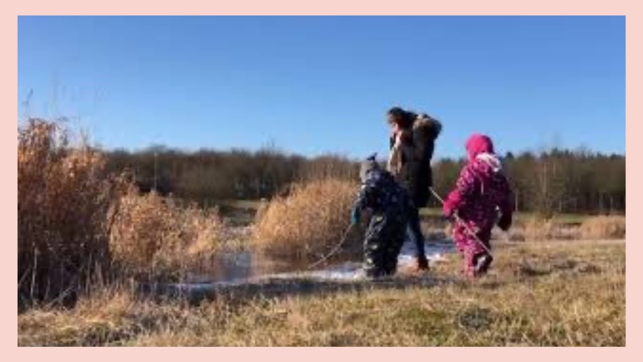 FROZEN LAKE IN BILLUND | WINTER IN DENMARK ️ | NATURE PLAY | - YouTube