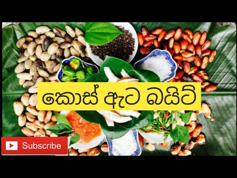 kos ata bite|කොස් ඇට බයිට්|nigi style - YouTube