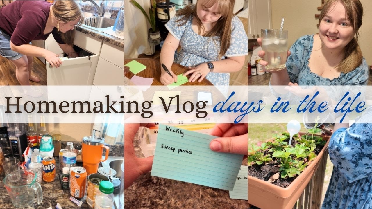 Adding Cleaning Tasks to my Routine, Healthy Sprite Recipe, Days in the ...