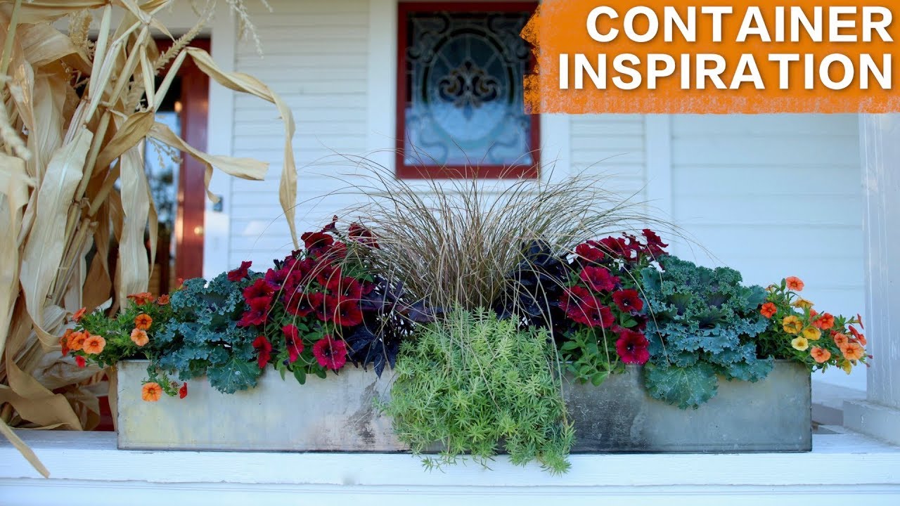 Planting in a Long Container