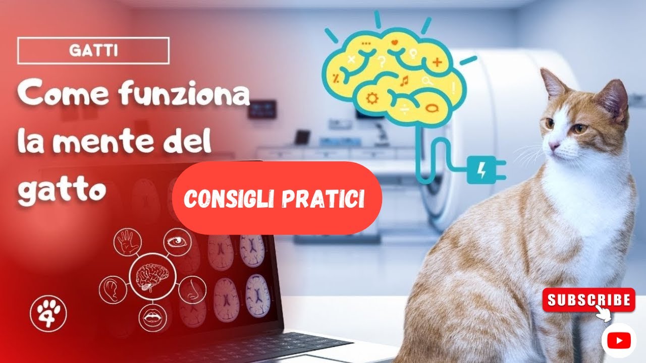"Leggere la mente dei gatti: - YouTube