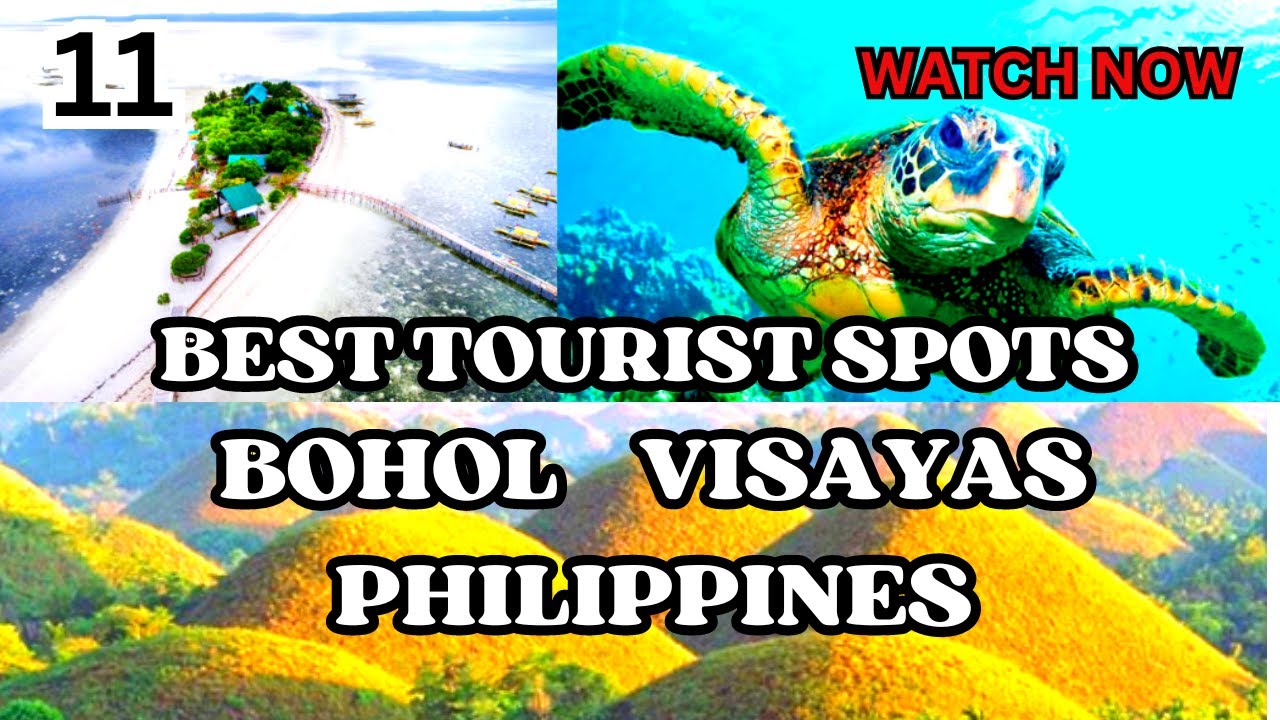 THE TOP 11 MOST BEAUTIFUL AMAZING TOURIST SPOTS IN BOHOL VISAYAS ...