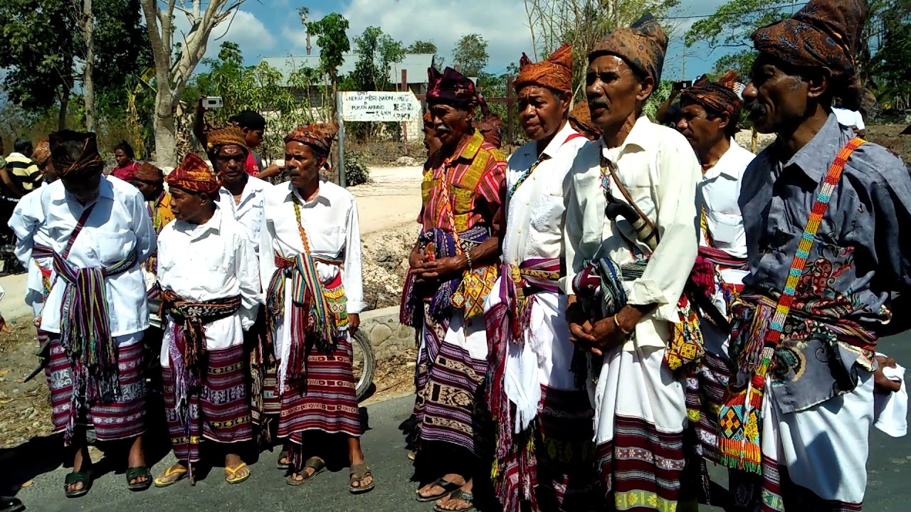 Natoni Adat pelantikan Anggota DPRD suku Timor - YouTube