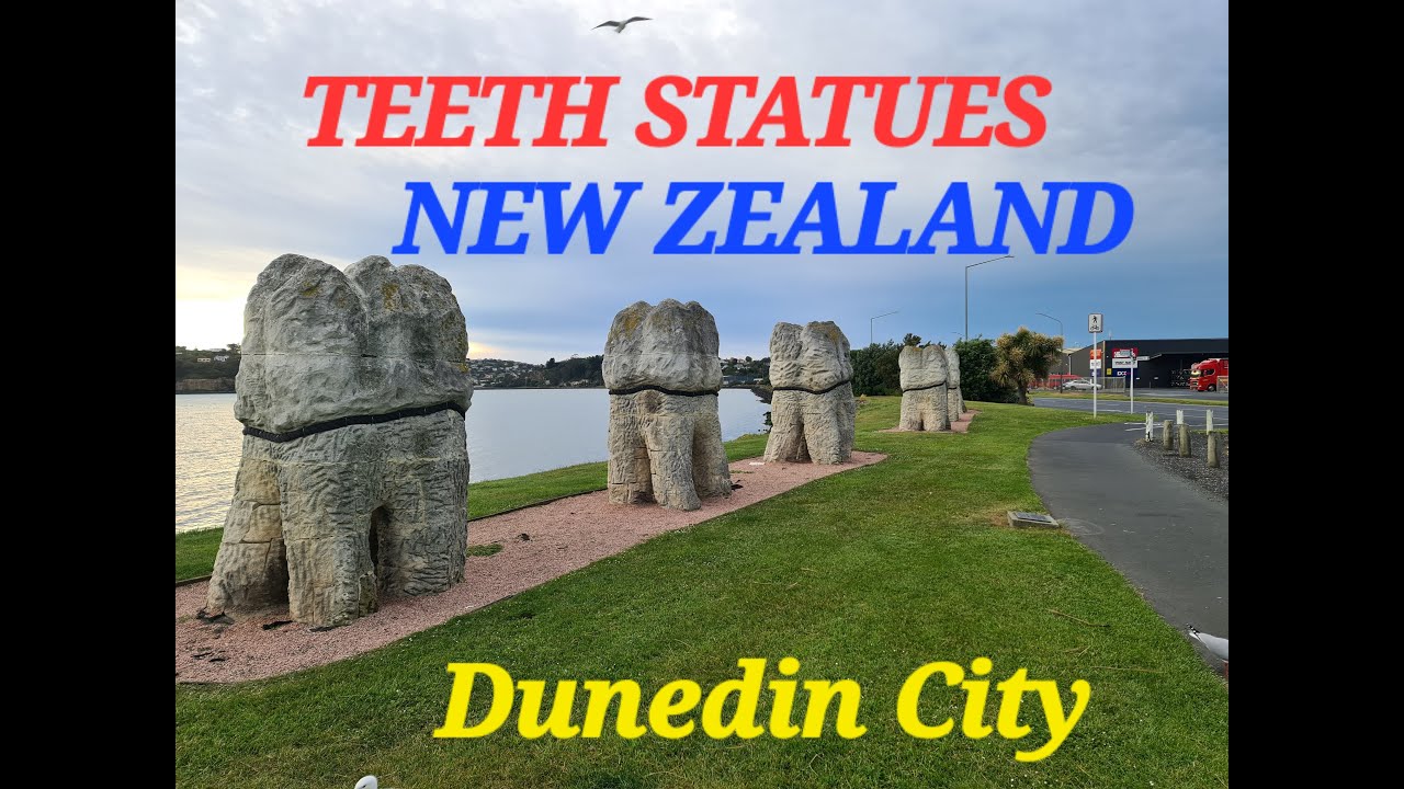 LARGEST TEETH IN THE WORLD ONLY IN NEW ZEALAND DUNEDIN - YouTube