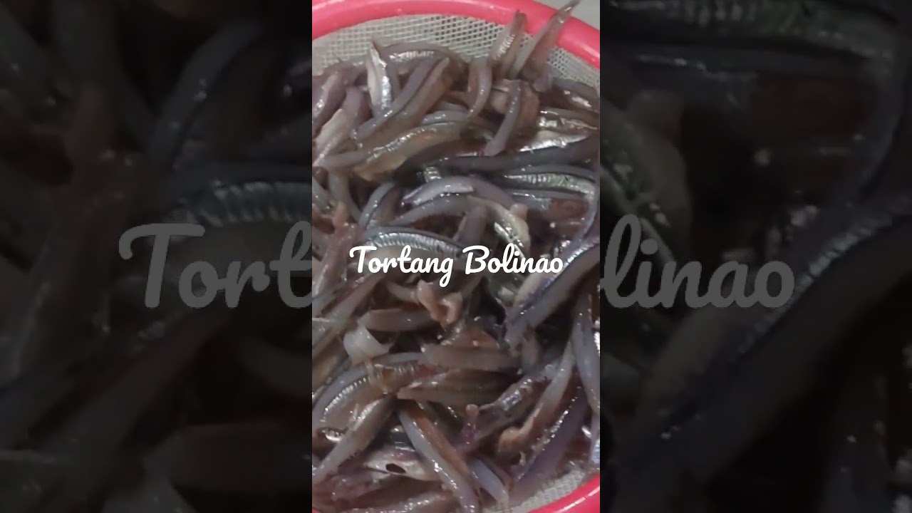 Tortang Bolinao - YouTube