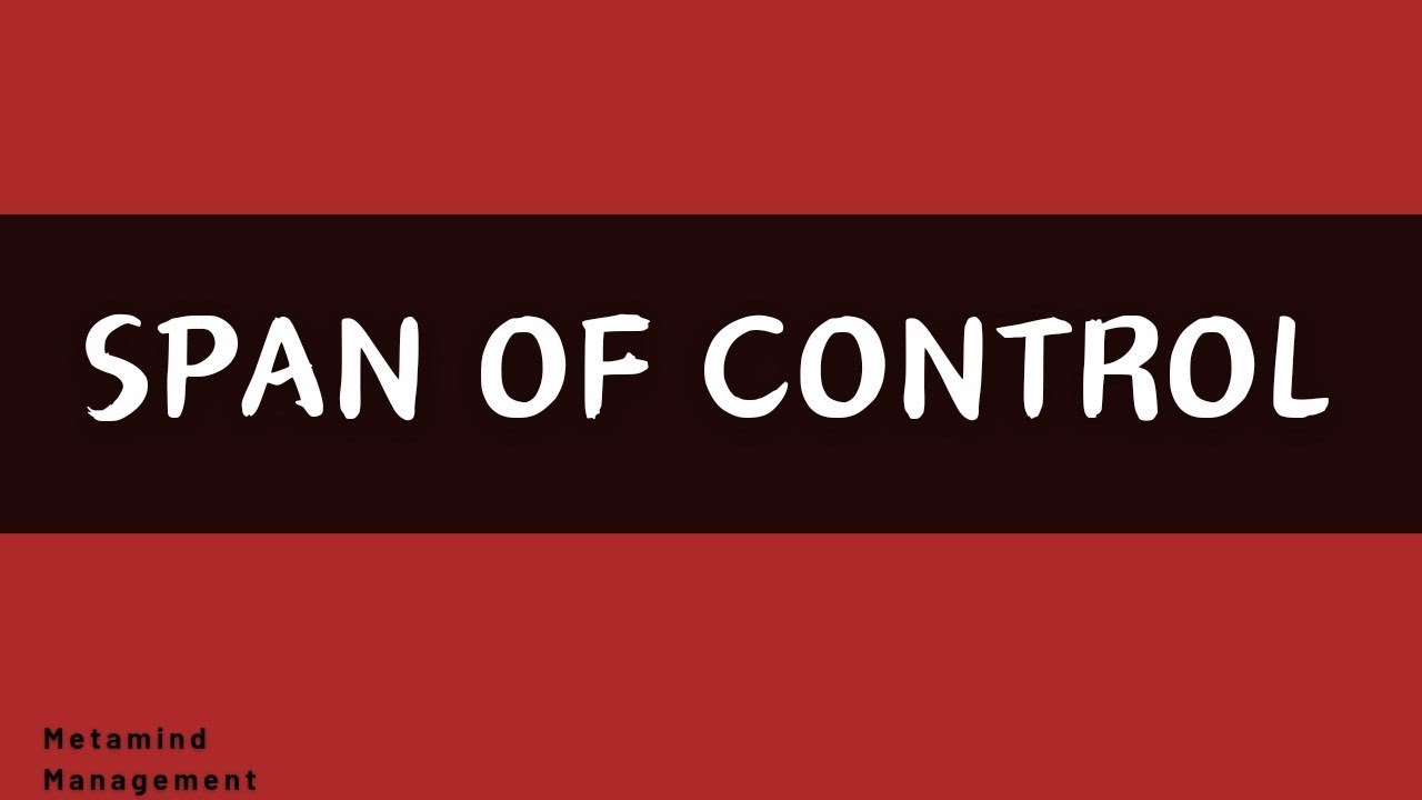 Span of Control | Principles of Management - YouTube