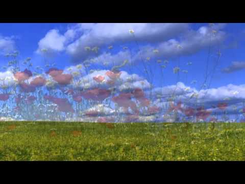 DJ  Savage - This My Lady Like The Night 2012