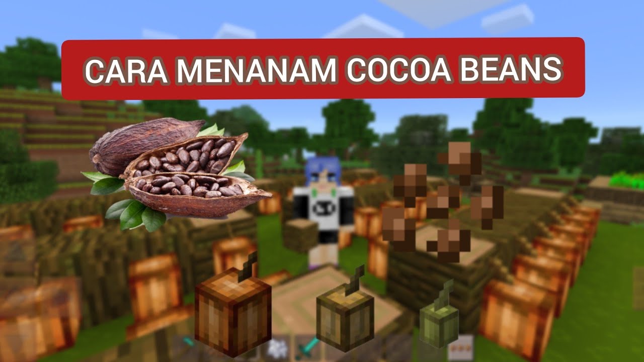 Cara menanam COCOA BEANS MINECRAFT DI ANDROID💢//Cara Mudah dan Cepat ...