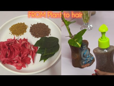 💯 Nature Gel, From plant to hair #video #youtubeshorts #viral #new #facebook #shortvideo #shorts #us