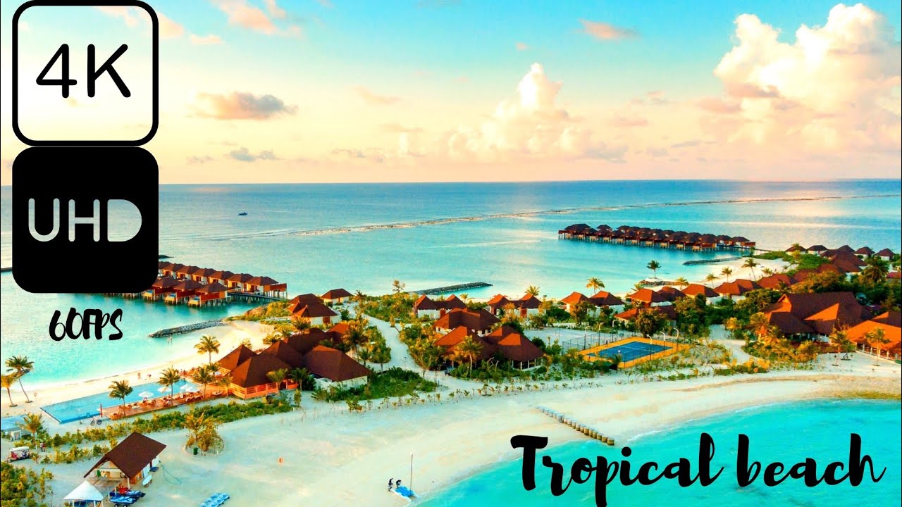 Special 4K HDR 60FPS (ULTRA HD) Dolby Vision - Tropical Beach - YouTube