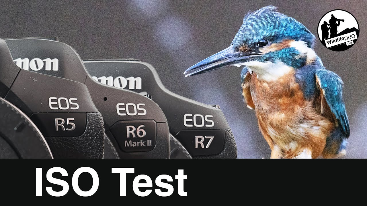 Ist die ISO-Empfindlichkeit heutzutage noch relevant? ISO Test mit der ...