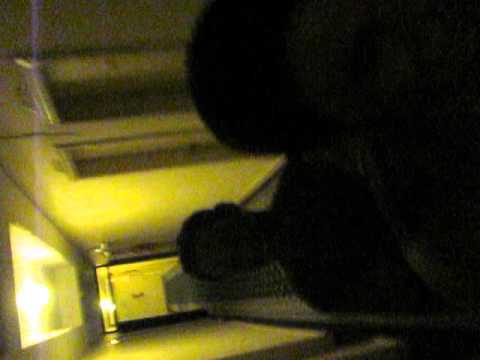 gece saat 04.30 otel koridorlarında market arabasıyla hız yapıyoruz :))