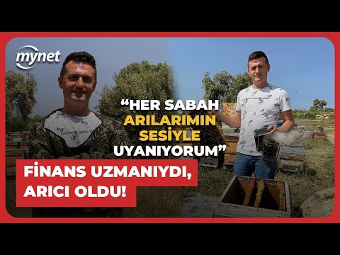 Finans uzmanıydı, arıcı oldu! \