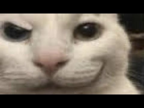 Doom 2 Map 20 Speedrun in 37.48 seconds - YouTube