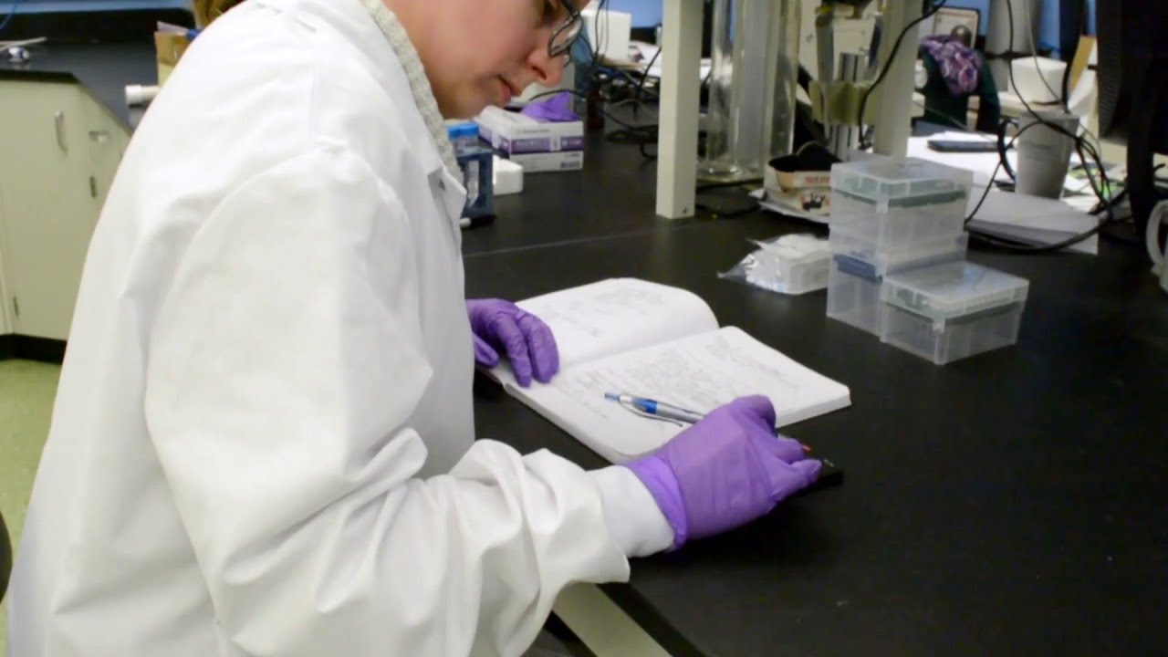 Intracellular Cytokine Staining (ICS) Assays - YouTube