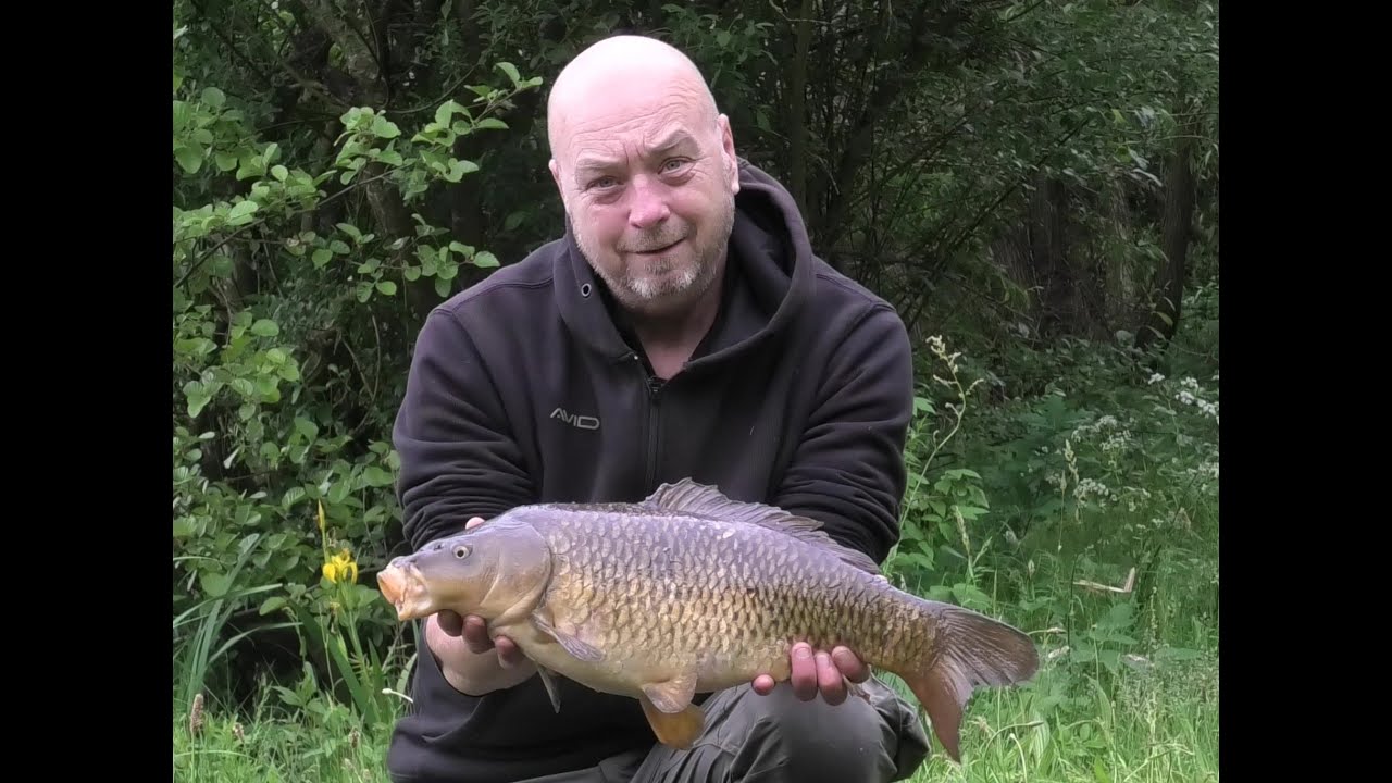 Carp fishing - Pest control!!! They can't all be big fish..... - YouTube