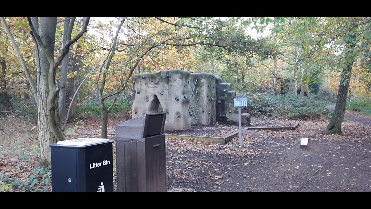 At High Woods Country Park In Colchester Essex for the first time 4 ...