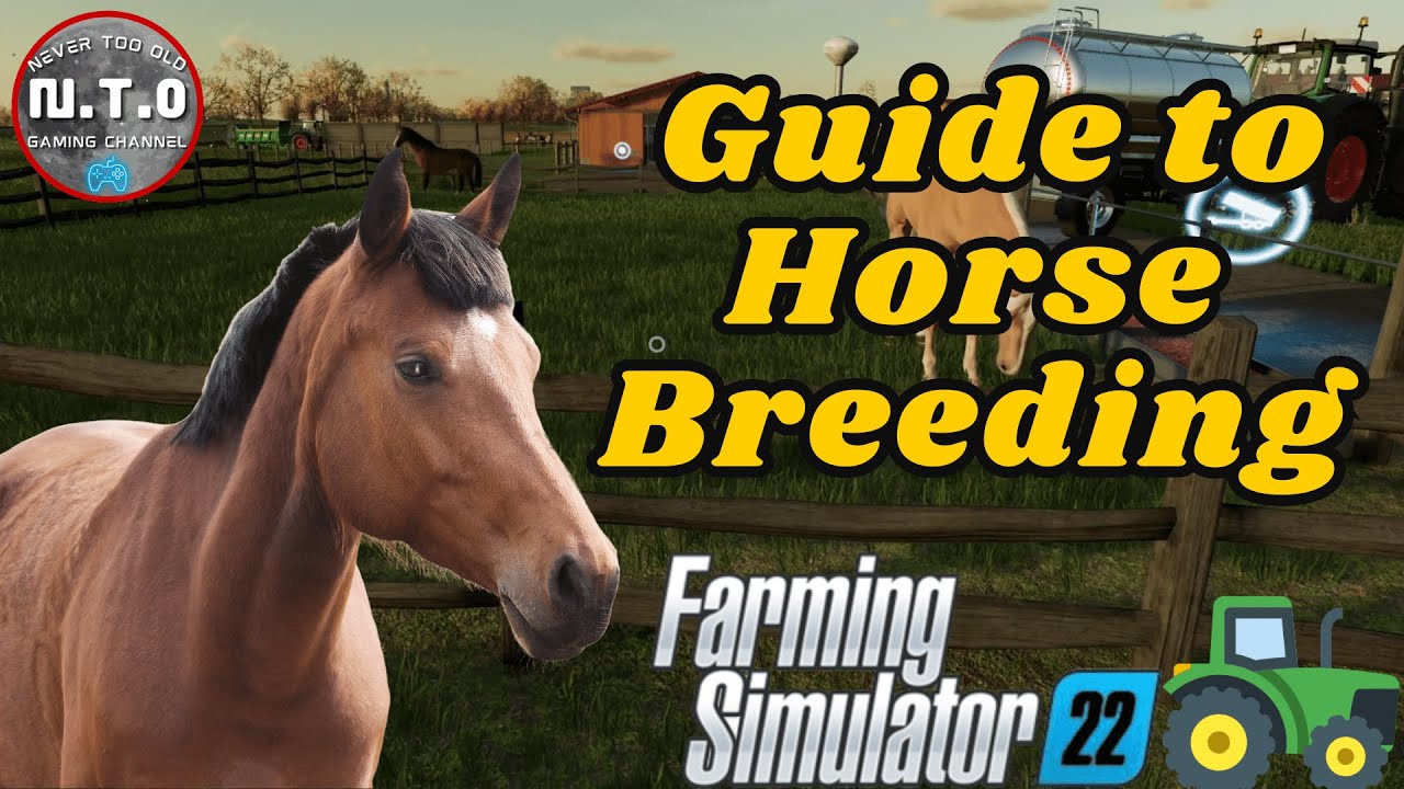 Ultimate Guide to Horse Farming in Farming Simulator 22 | Help I Bought ...