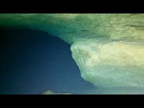 Morrison Spring, FL Cavern Cave Scuba Diving - YouTube