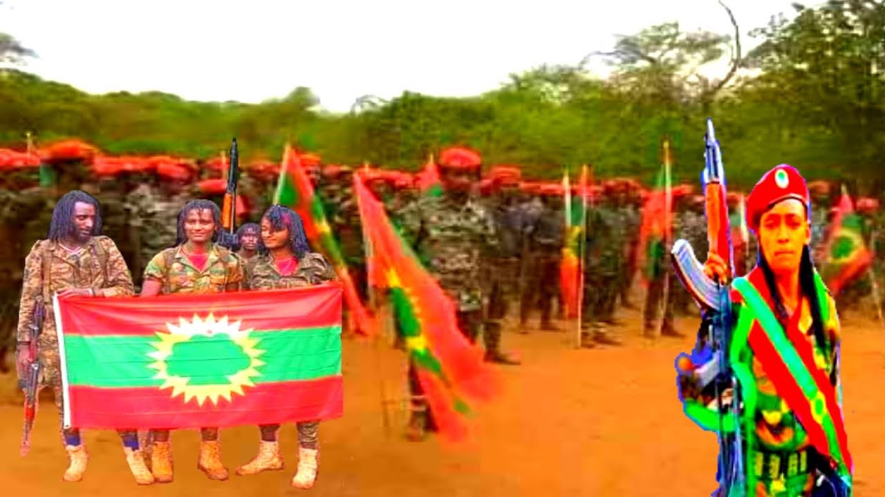 ODUU BBC AFAAN OROMOO,,November 15, 2021 - YouTube