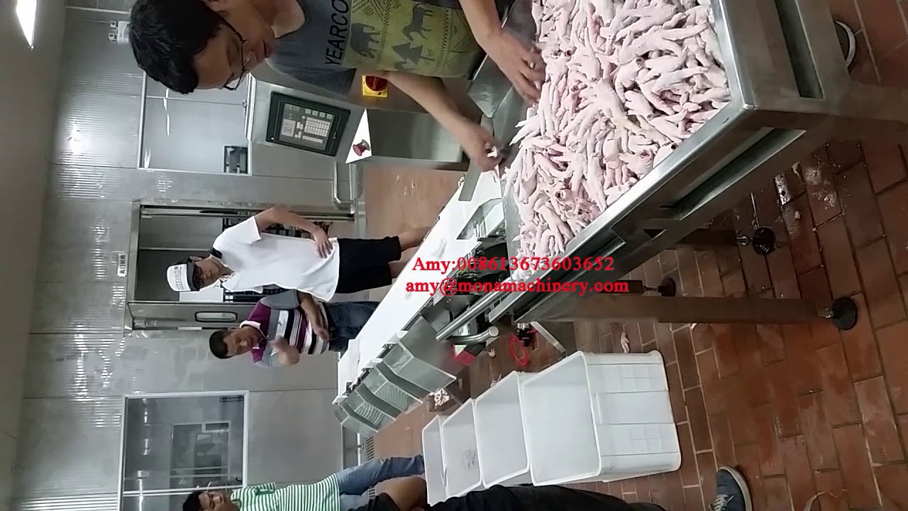 chicken feet paws weighting sorting and grading machine from Amy ...