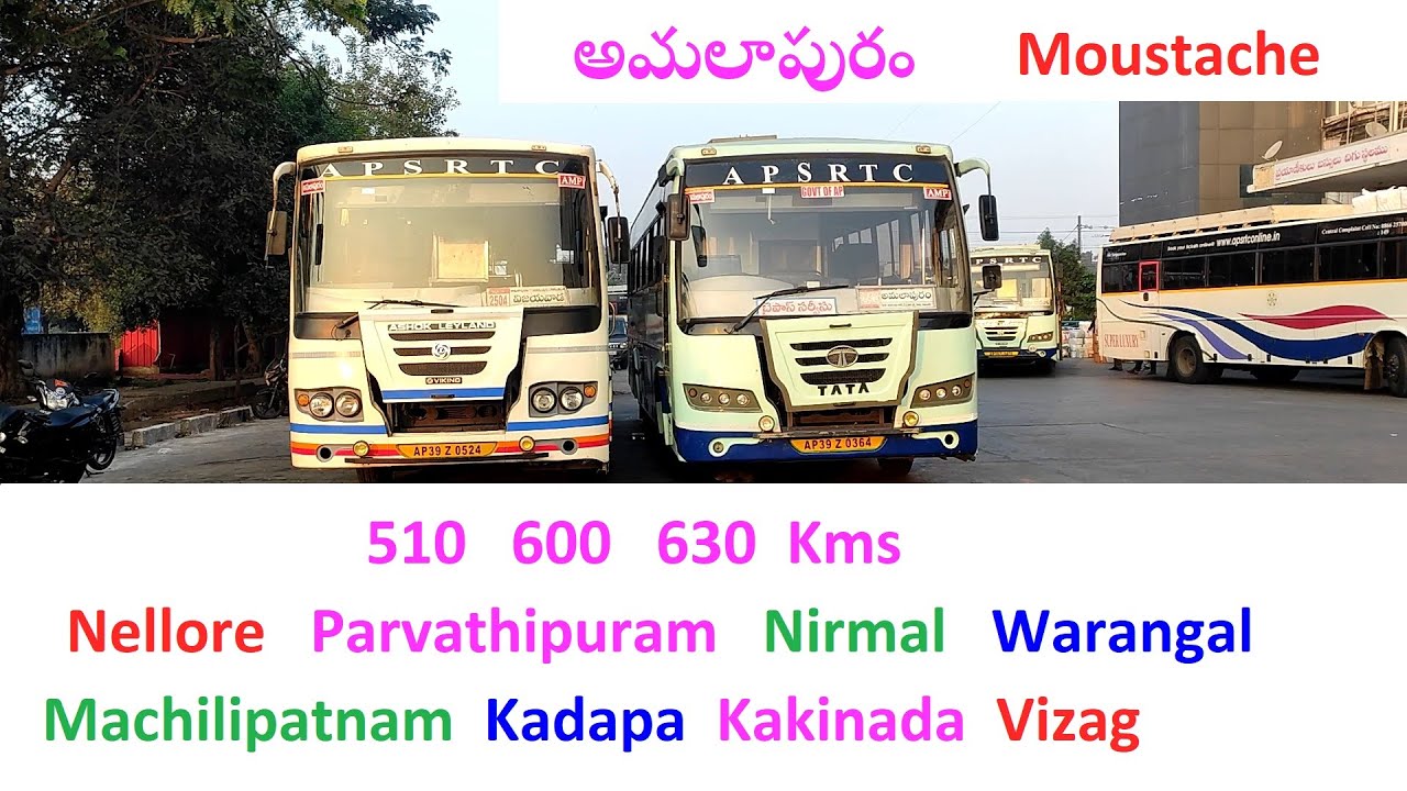 APSRTC , TGSRTC Long Distance Buses at Vijayawada Bus Stand - YouTube