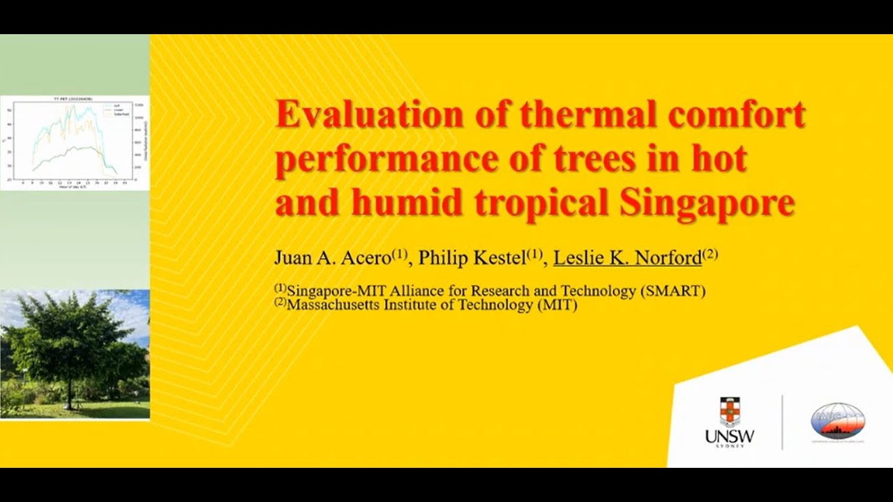 Evaluation of thermal comfort performance of trees in hot and humid ...