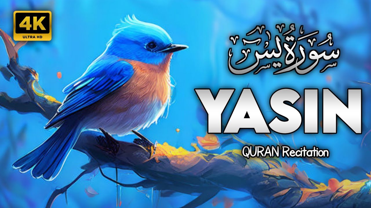 Qari Mishary Rashid Surah Yaseen - سورة يس - Qari Mishary Rashid - YouTube