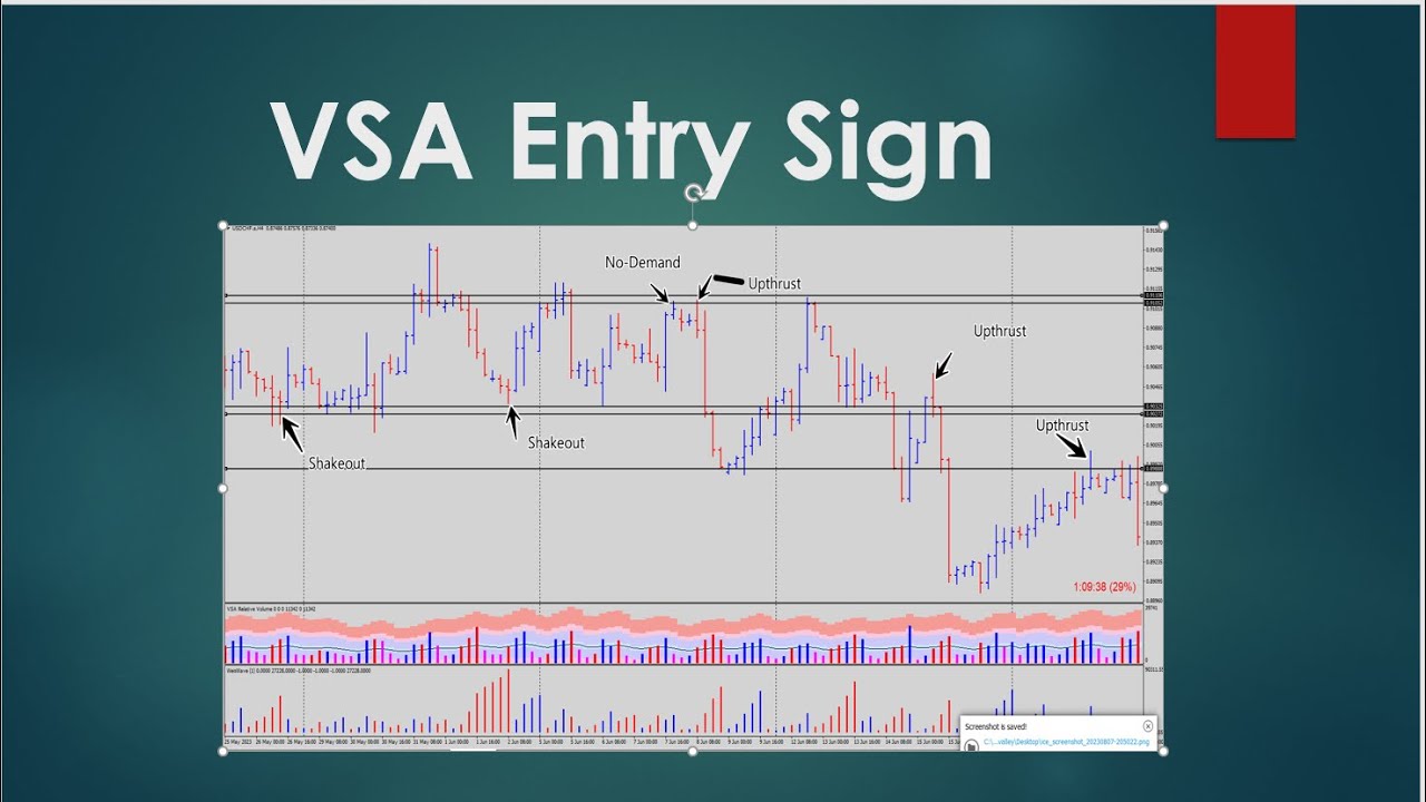 How to Use VSA Entry Sign on Right Time? || Urdu/Hindi - YouTube