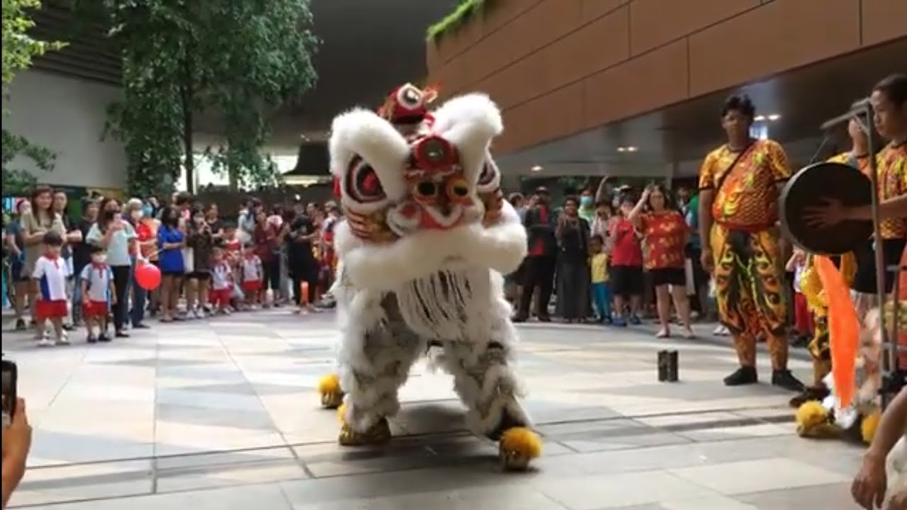 新加坡騰陽龍獅體育會 Teng Yang Lion Dance Cai Qing Performance at 7-Eleven ...
