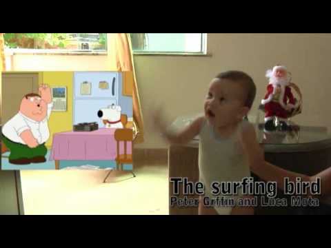 Luca dança The Surfing Bird - Montagem