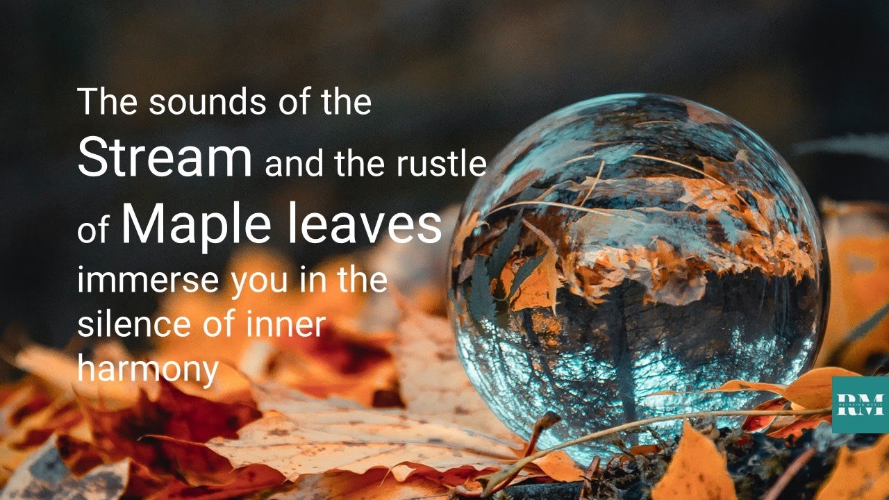 The sounds of the Stream and the rustle of Maple leaves immerse you in ...